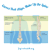 National Spine Health Foundation | Spine | Back | Curves | Align