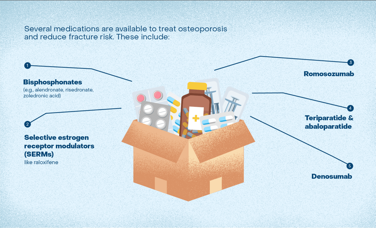 Osteoporosis And The Spine | National Spine Health Foundation
