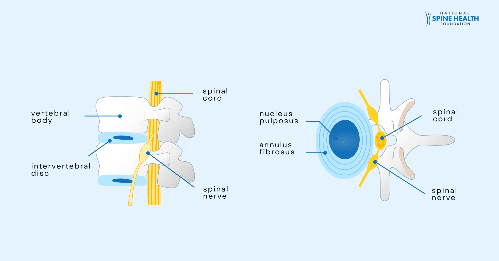 Can Smoking and Vaping Cause Back Pain? | National Spine Health Foundation