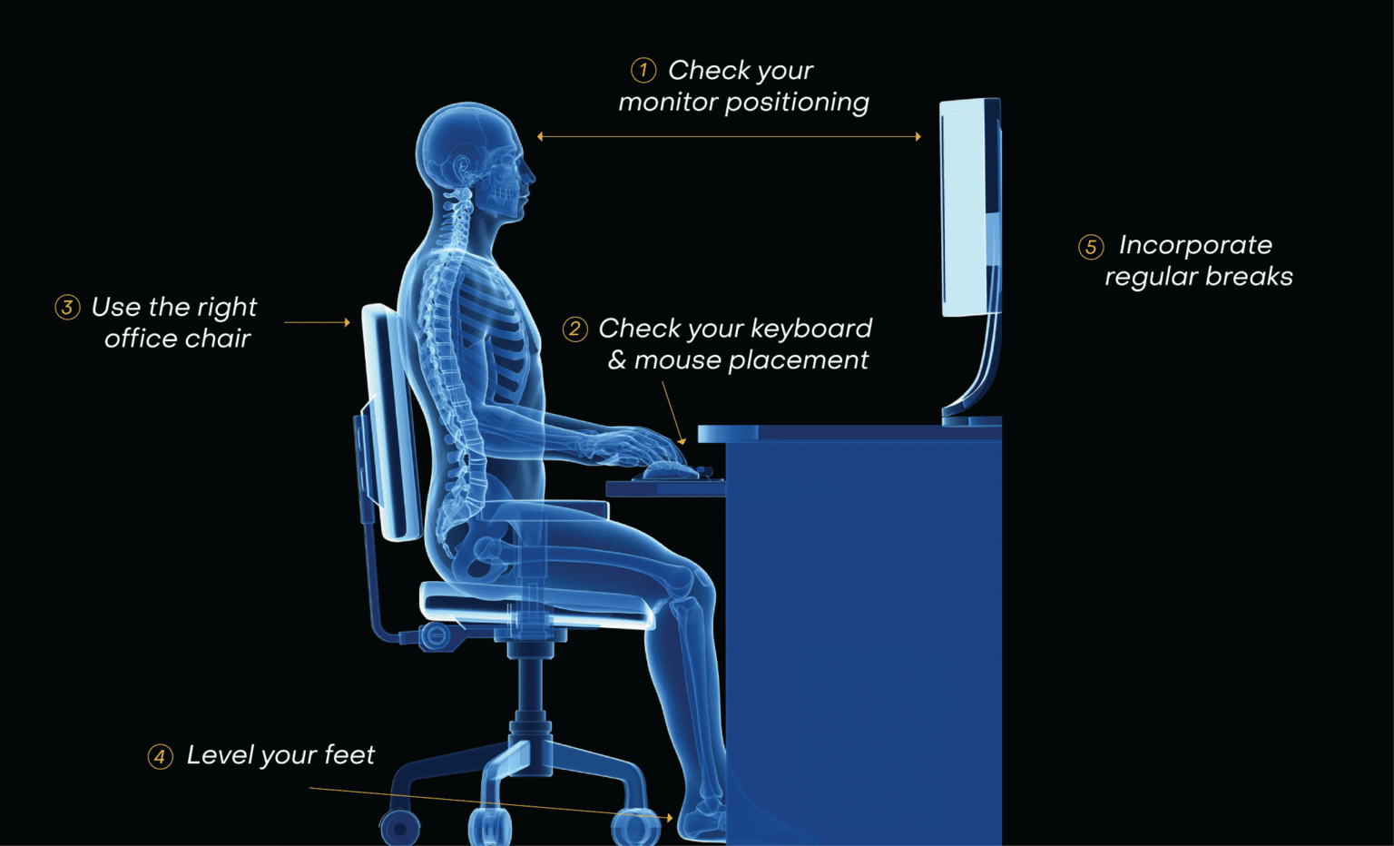 Spine Health: Posture and Workplace Ergonomics | National Spine Health ...