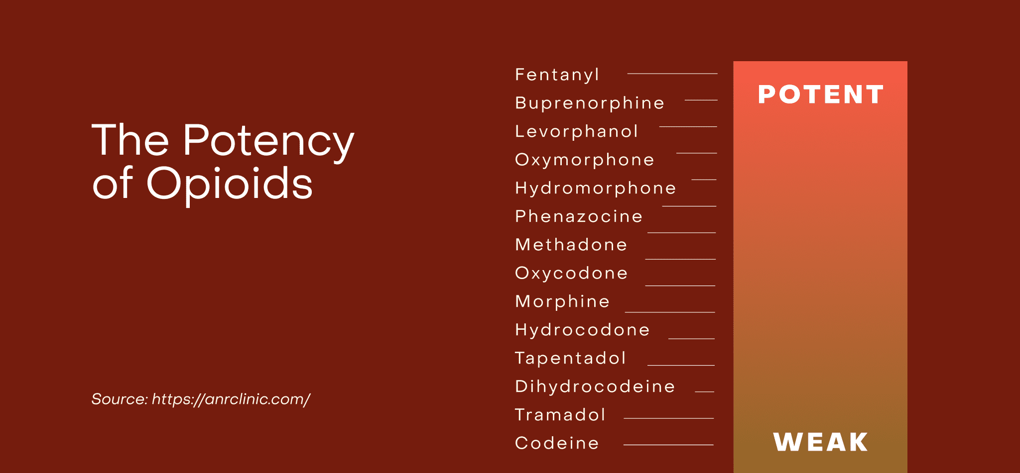 Opioids and Back Pain | National Spine Health Foundation