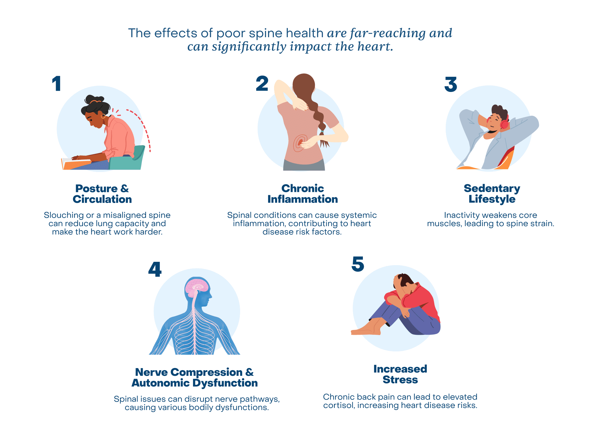 From Posture to Pulse: The Heart-Spine Connection | National Spine ...